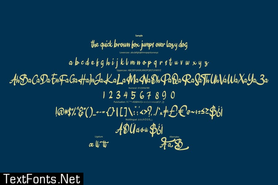Alexa Modern Script Font Alexa Modern Script Font